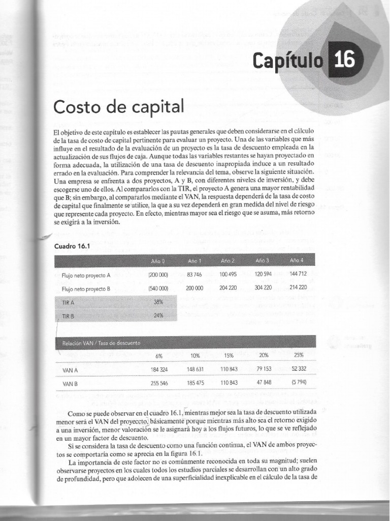Capítulo 16 Form y Prep de Proyectos Sapag Edición 6ta | PDF
