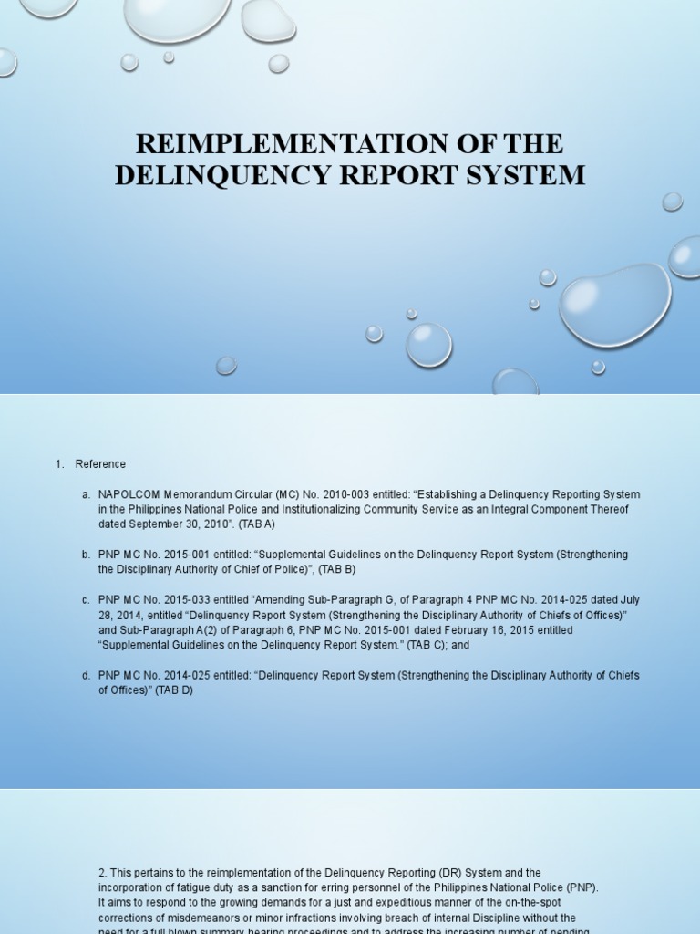 Reimplementation of The Delinquency Report System | PDF