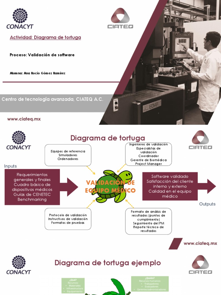 Actividad - Diagrama de Tortuga | PDF