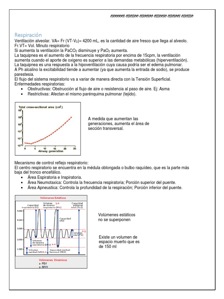 Taquipnea y Polipnea en Respiración | PDF | Edema | Sistema respiratorio
