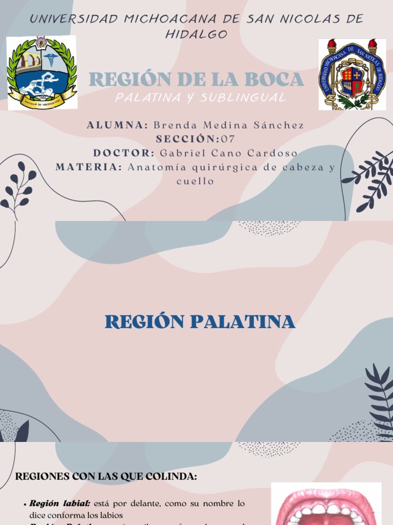 Región de La Boca | PDF | Anatomía humana | Cabeza y cuello humanos