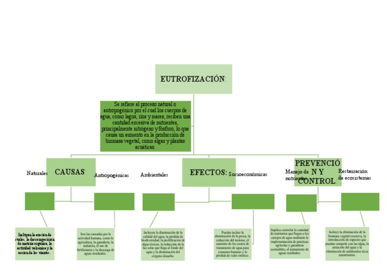 Eutrofización, Mapa Conceptual | PDF