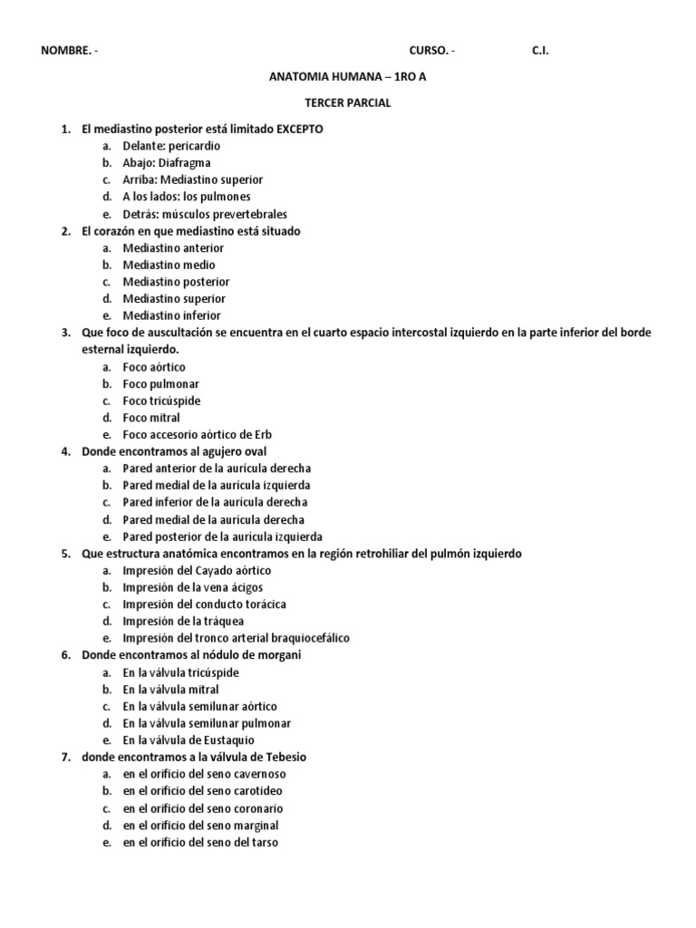 Examen de Anatomia 3er Parcial | PDF | Aorta | Pulmón