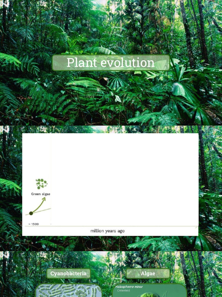 Plant Evolution-1 | PDF