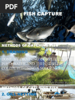 Module 3 CLASSIFICATION OF FISHING GEARS | PDF | Trawling | Fish