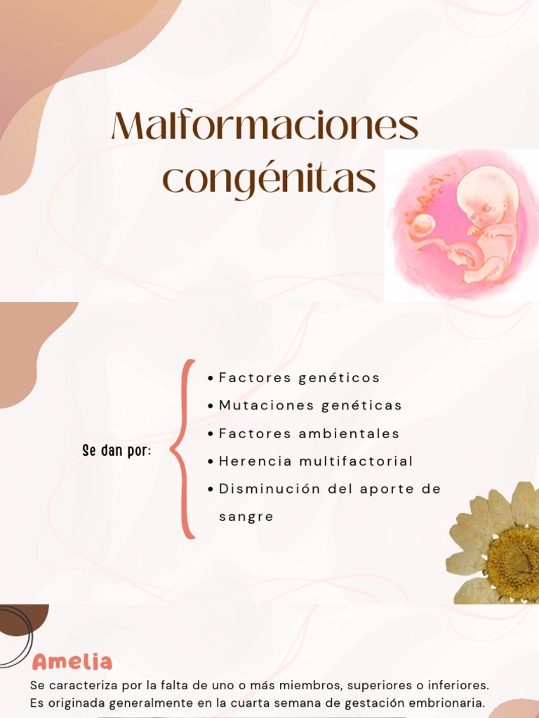 Amelia y Meromelia | PDF