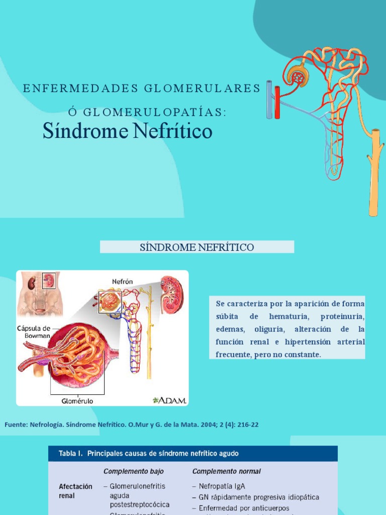 Sx nefritico | PDF | Medicina CLINICA | Causas de la muerte