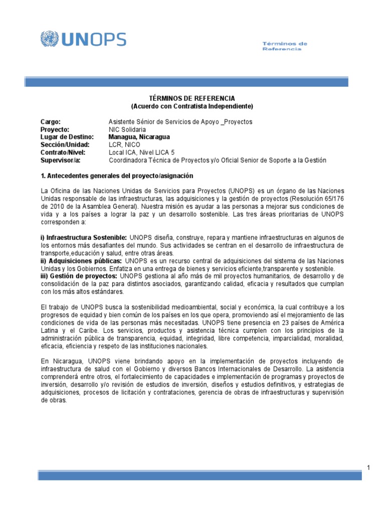 Descripcion de Puesto - Asistente de Servicios de Apoyo - Proyectos | PDF | Negocios | Finanzas ...