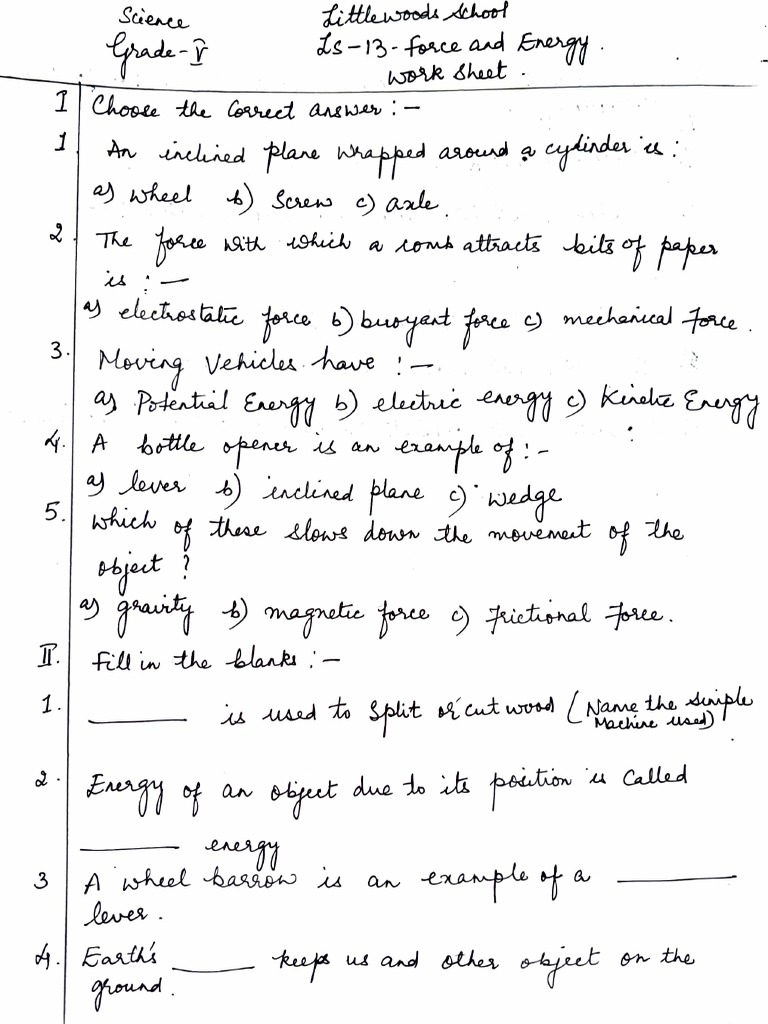 Grade 5 Science Worksheet Lesson 13 | PDF