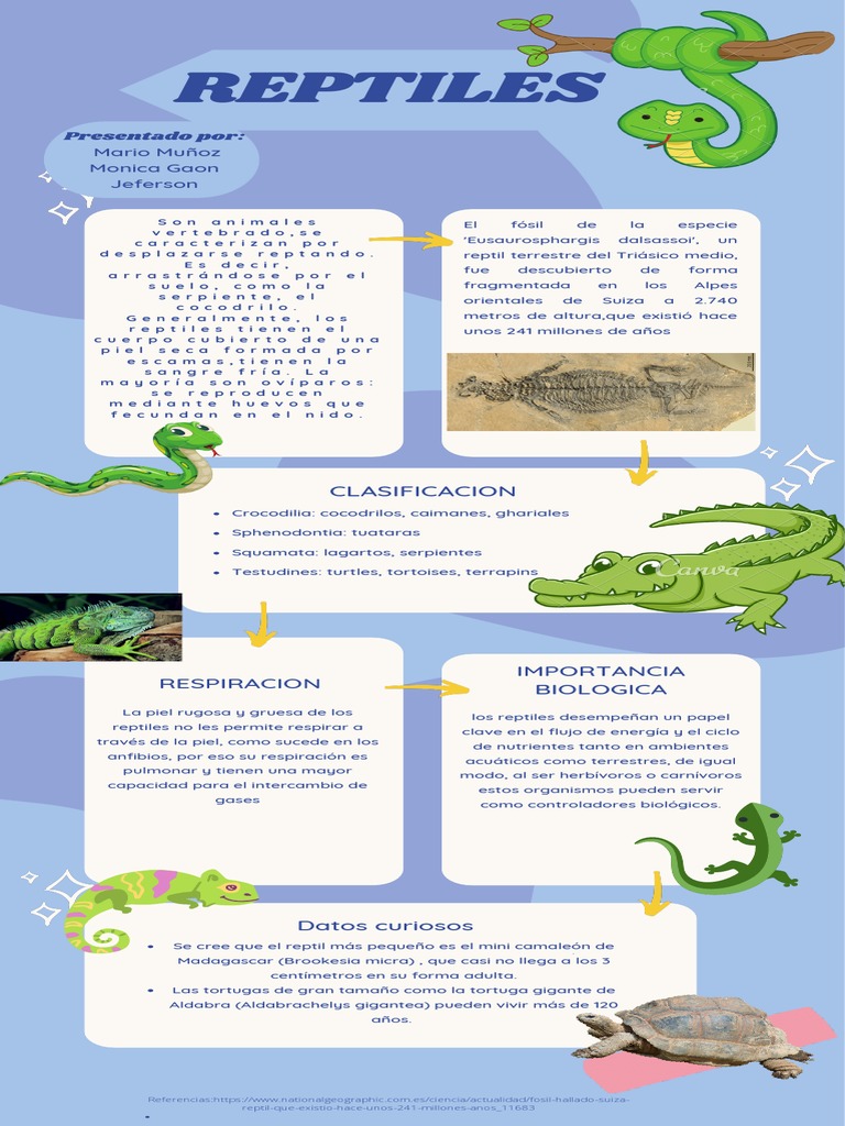 REPTILES | PDF