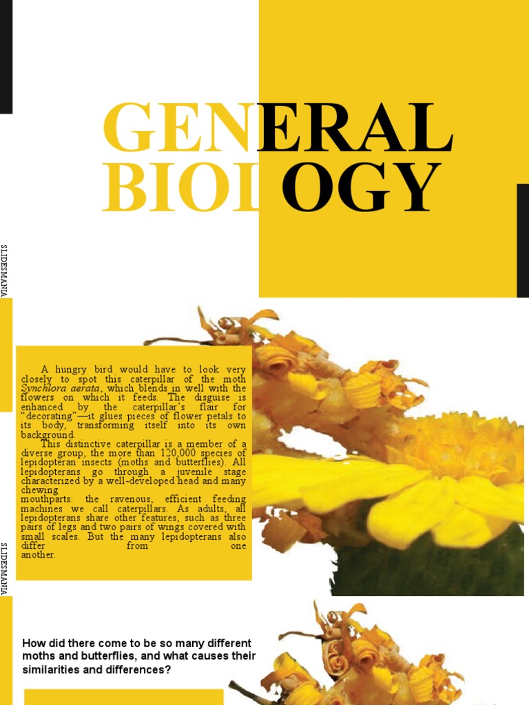 Evolution Pdf Natural Selection Evolution