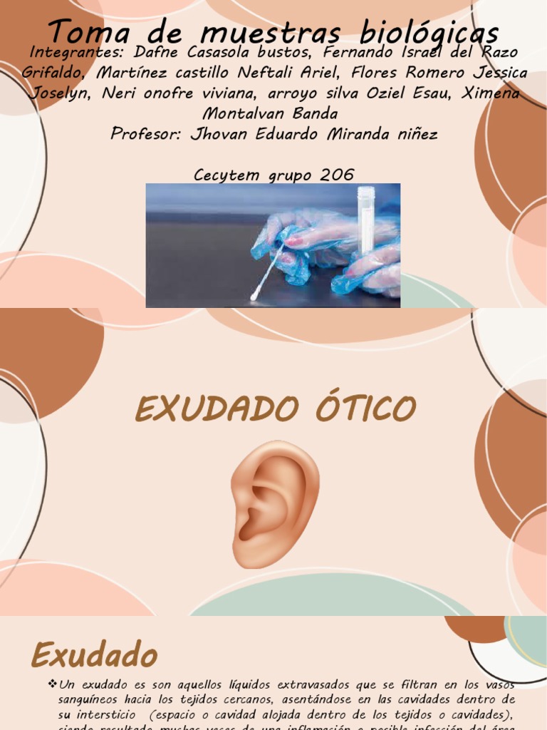 exudado otico 2 (1) | PDF