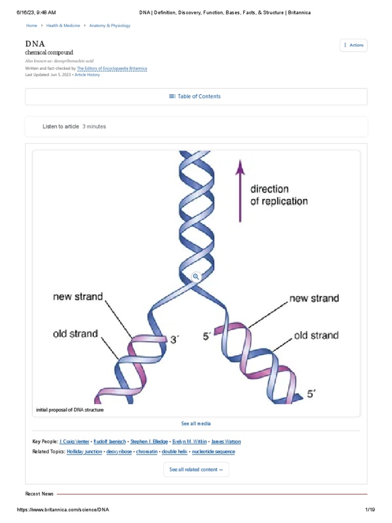DNA - Definition, Discovery, Function, Bases, Facts, & Structure - Britannica | PDF