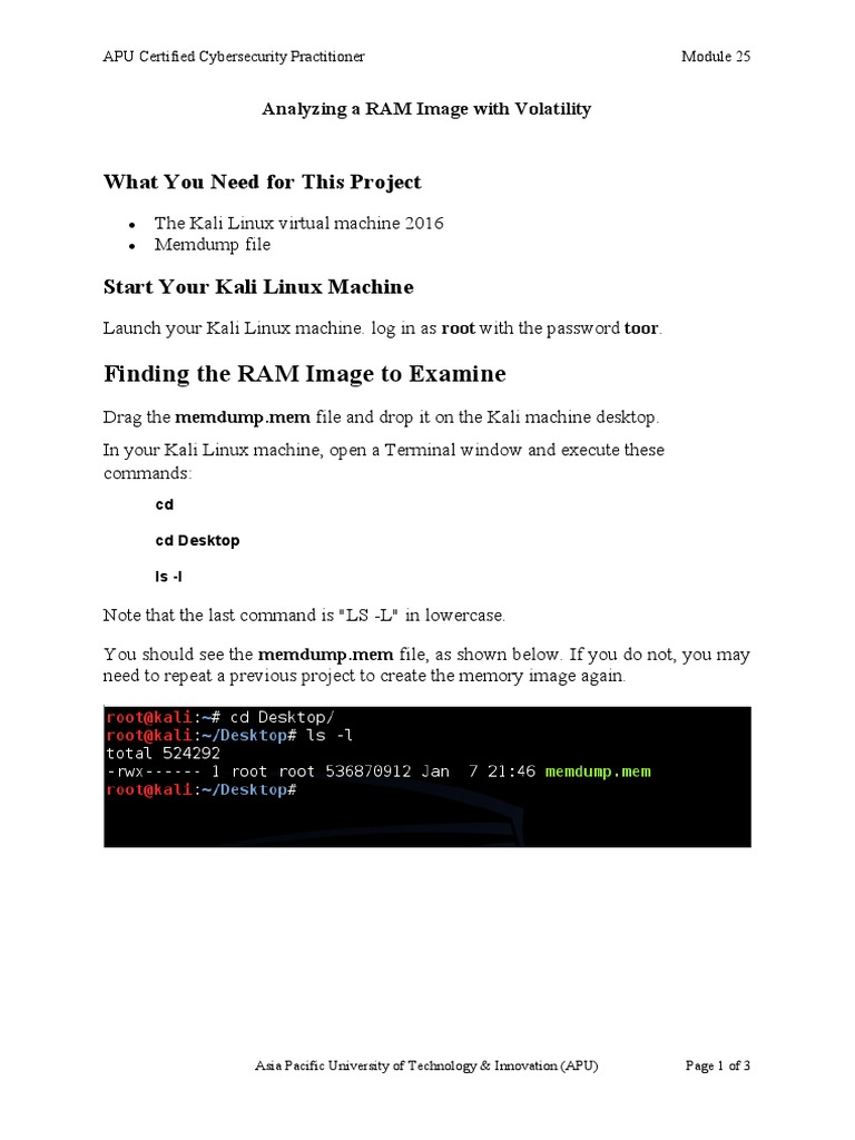 Lab Activity 1 - Module 25 | PDF | Password | Command Line Interface