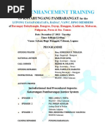 barangay full disclosure board | PDF