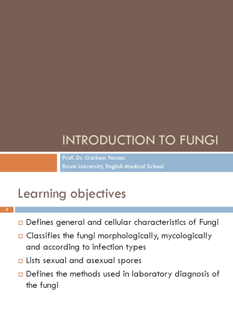 4 - Introduction To Fungi | PDF | Fungus | Cell (Biology)