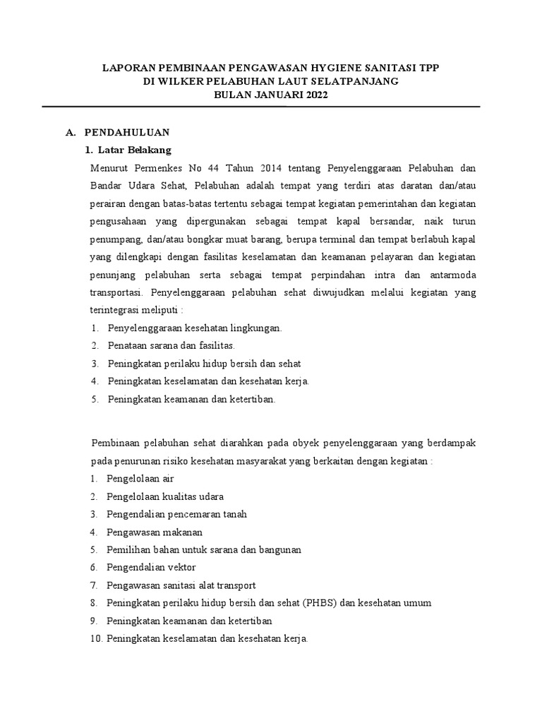 Jan Laporan Pengawasan TPP | PDF