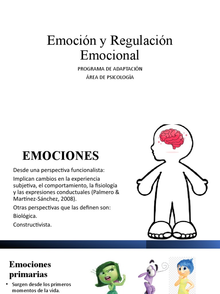 Emoción Y Regulación Emocional Pdf