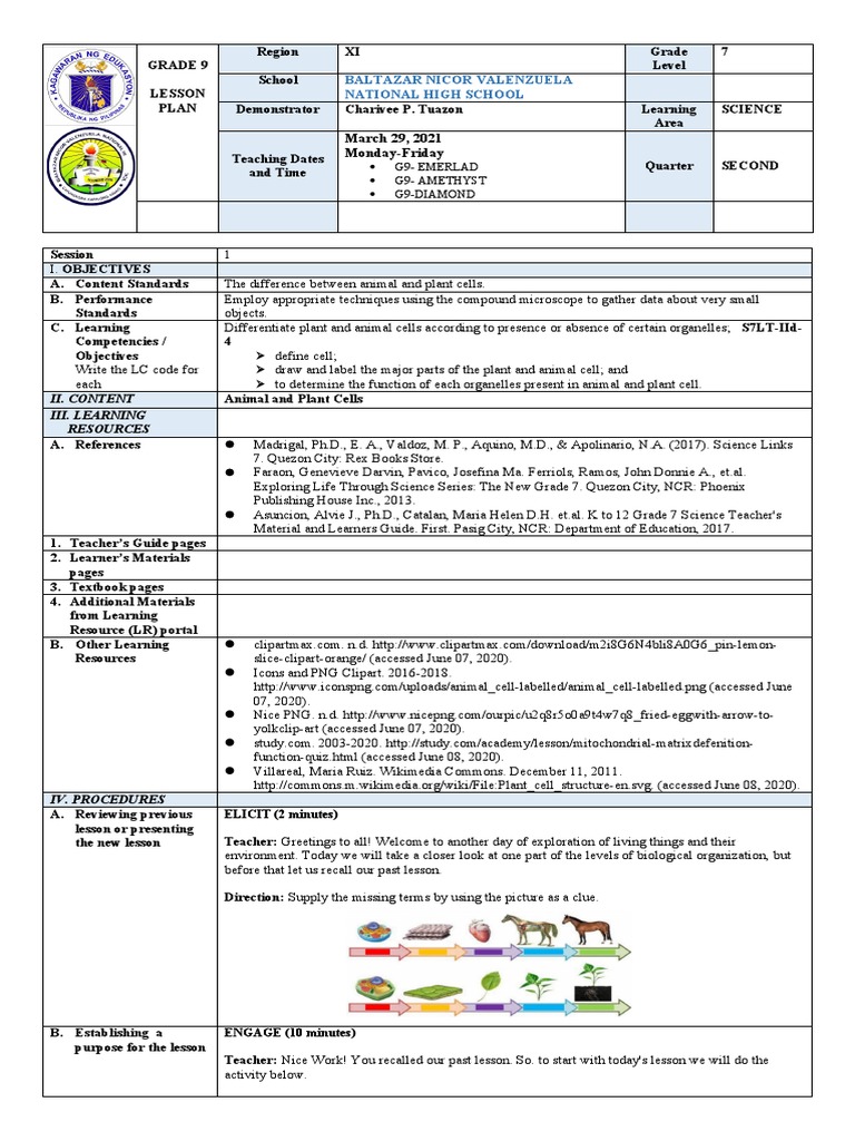 lesson plan( plant and animal cells) | PDF | Cell (Biology ...