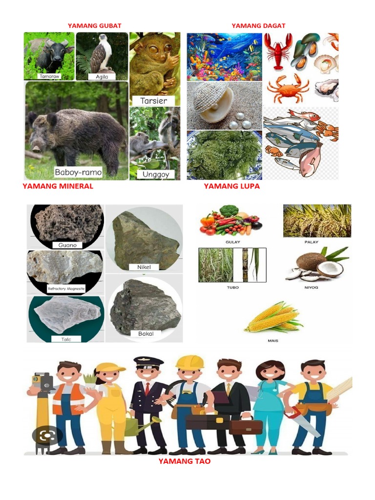 Yamang Gubat Yamang Gubat Yamang Dagat | PDF