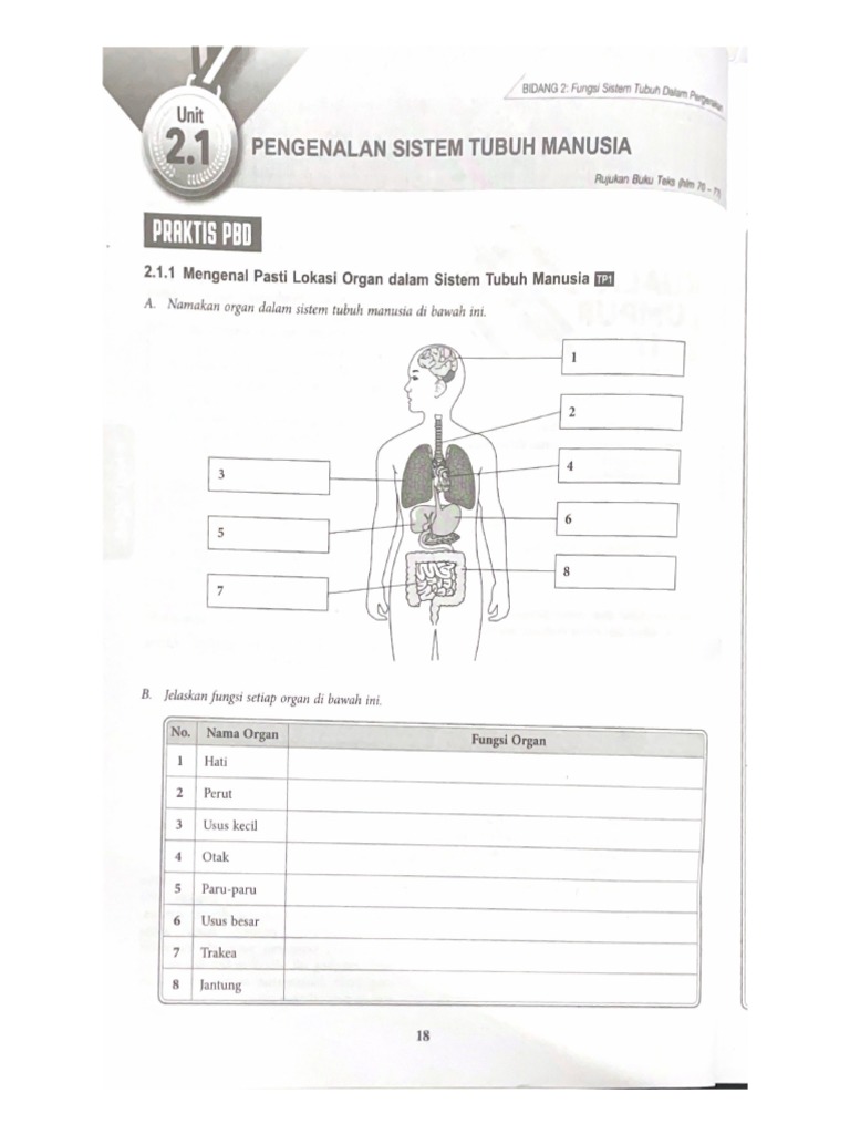 Pengenalan Sistem Tubuh Manusia | PDF