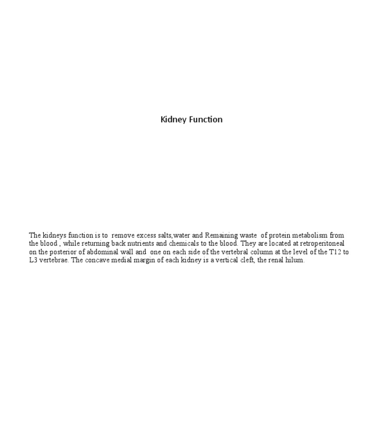 Understanding Kidney Function and Anatomy | PDF | Science & Mathematics