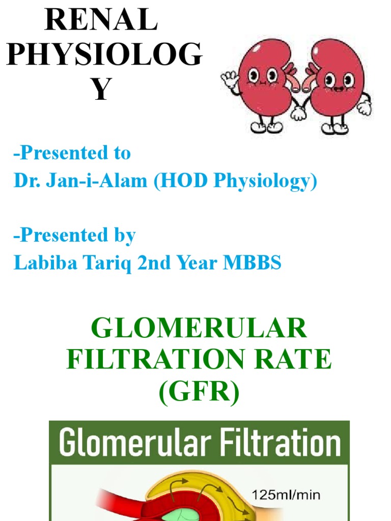 Document From Labiba Tariq-DeSKTOP-Q9FRDIG | PDF | Organ (Anatomy ...