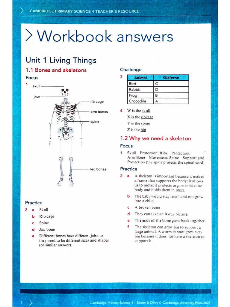 Cambridge Primary Science - (4) WB Ans | PDF