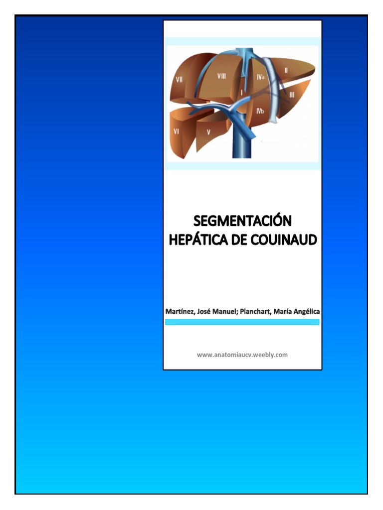 Segmentación Hepática Pdf
