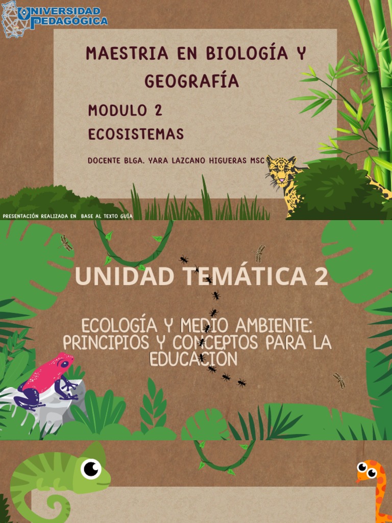 Diapositivas Unidad Tematica 2 | PDF