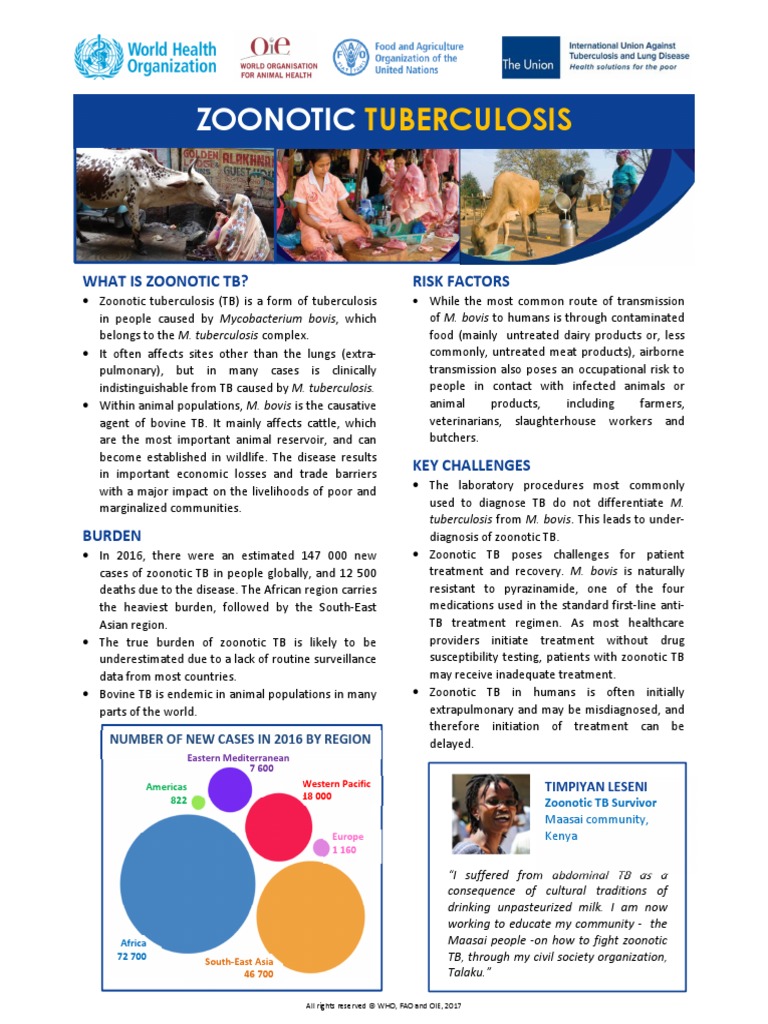 Zoonotic TB Factsheet 2 | PDF | Tuberculosis | Mycobacterium Tuberculosis