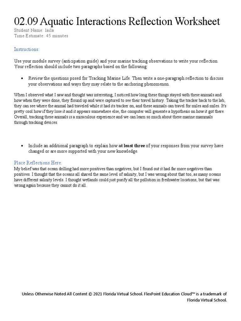 02 09 Reflection Worksheet 1 | PDF