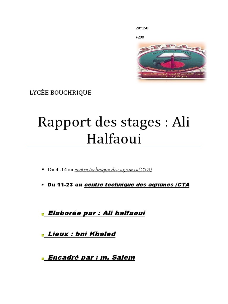 Rapport Des Stages | PDF