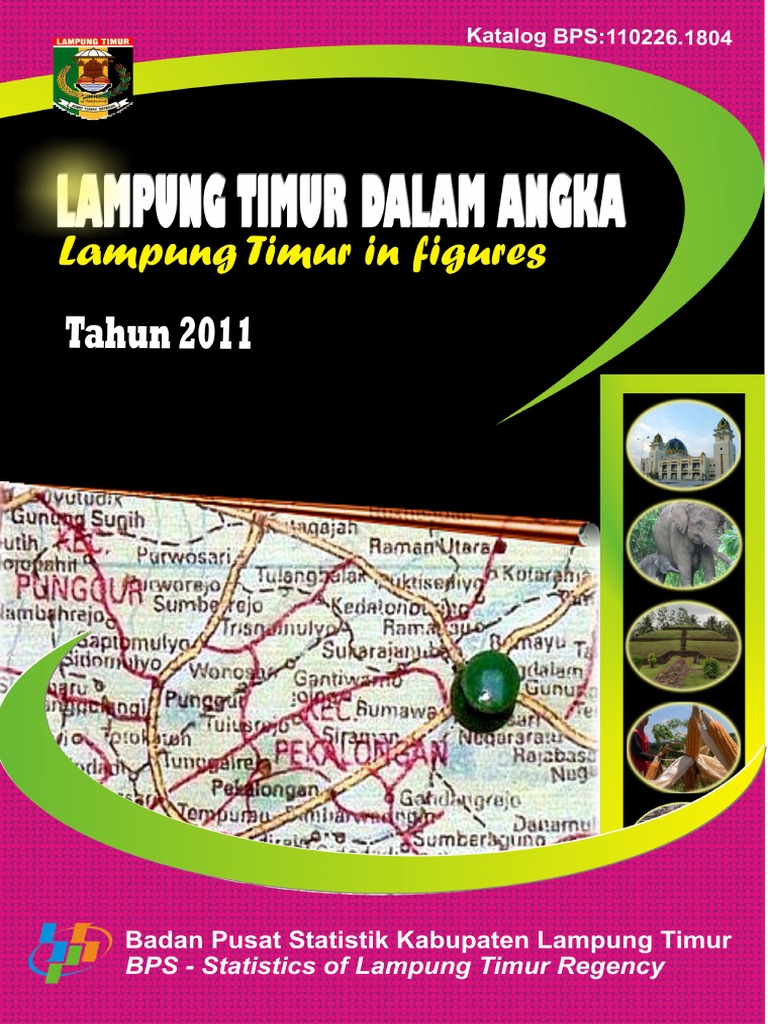 Lampung Timur Dalam Angka 2011 | PDF
