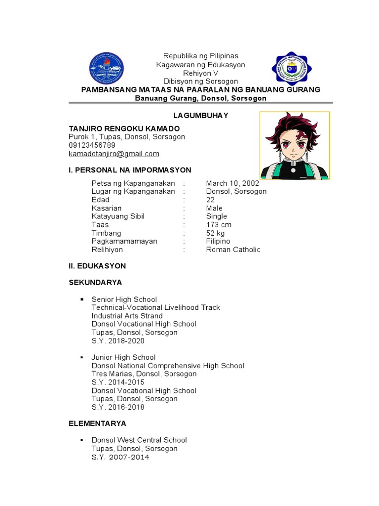 Curriculum Vitae Pananaliksik | PDF