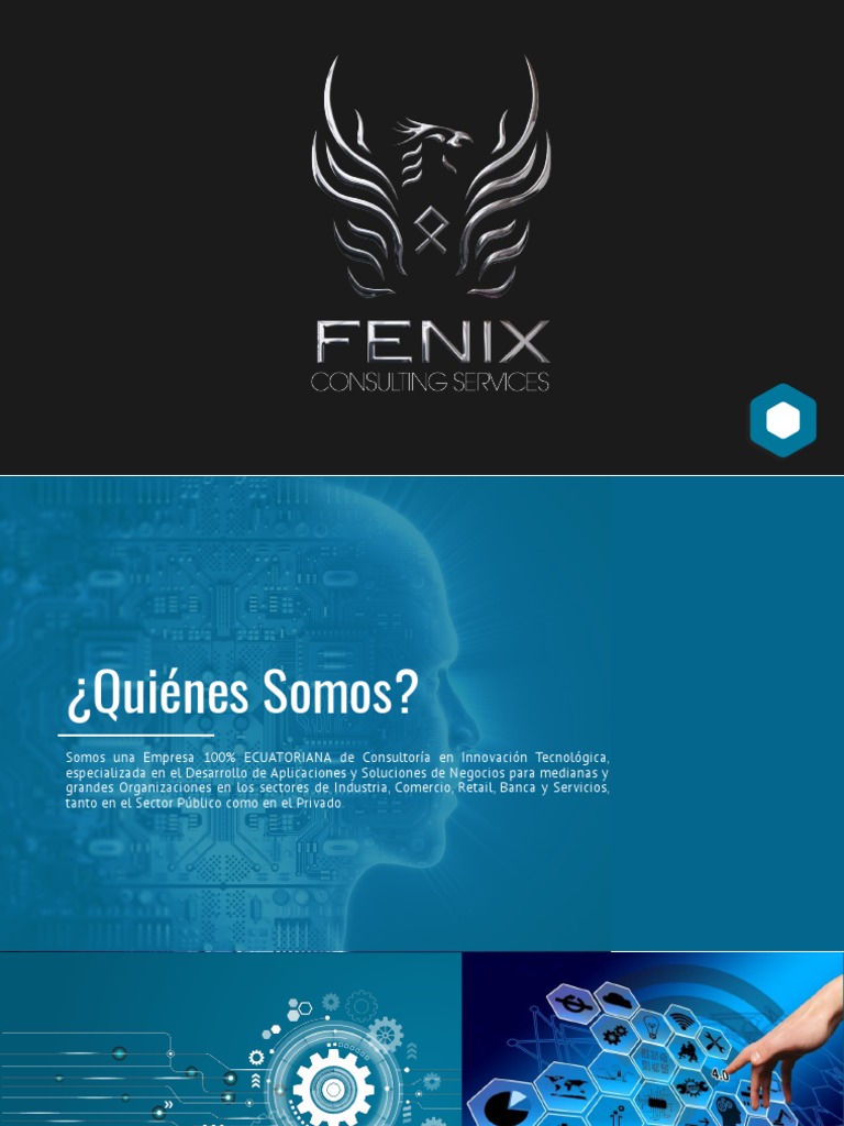 Fenix 2023 | PDF | Software | Calidad (comercial)