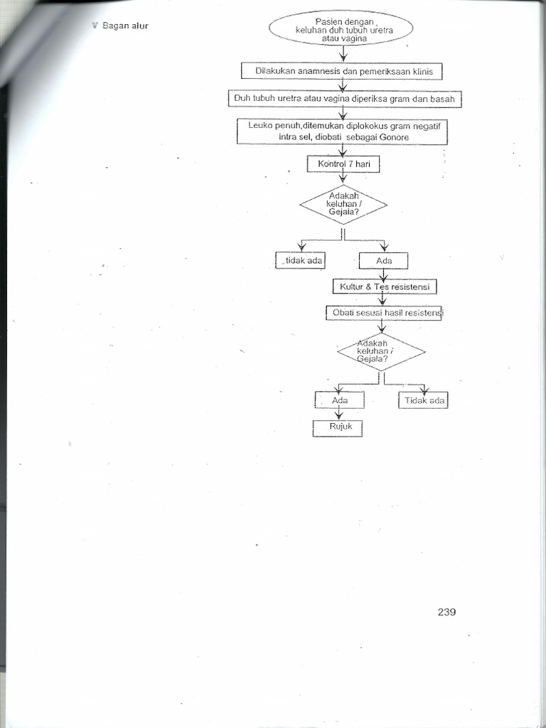 Alur Tatalaksana Gonore | PDF