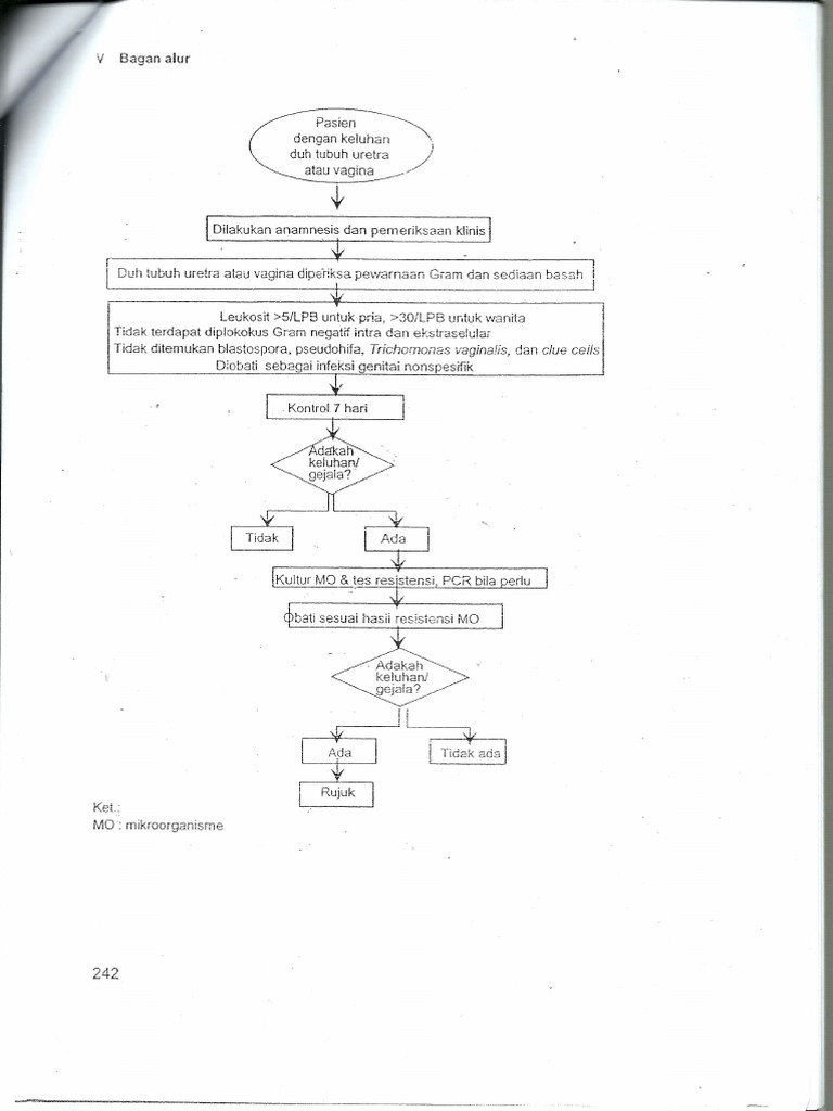 Alur Tatalaksana IGNS | PDF