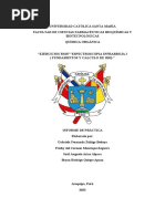 Prueba de Bial para Pentosas | PDF