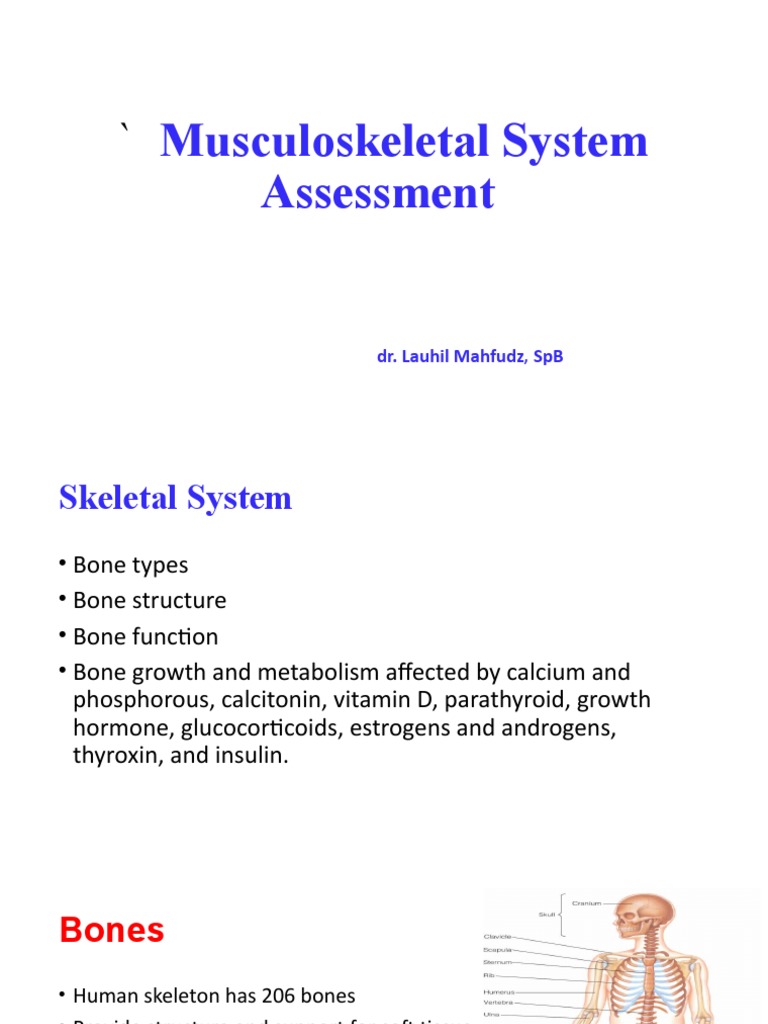 Musculoskeletal Assesment | PDF | Bone | Amputation