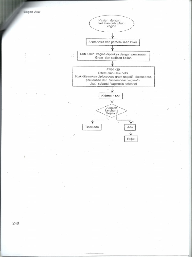 Alur Tatalaksana VB | PDF