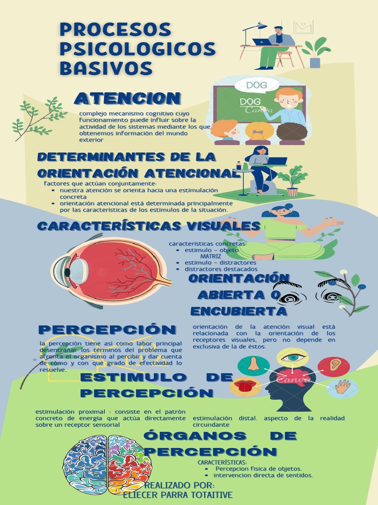 Procesos Psicologicos Basicos Pdf Percepción Las Emociones