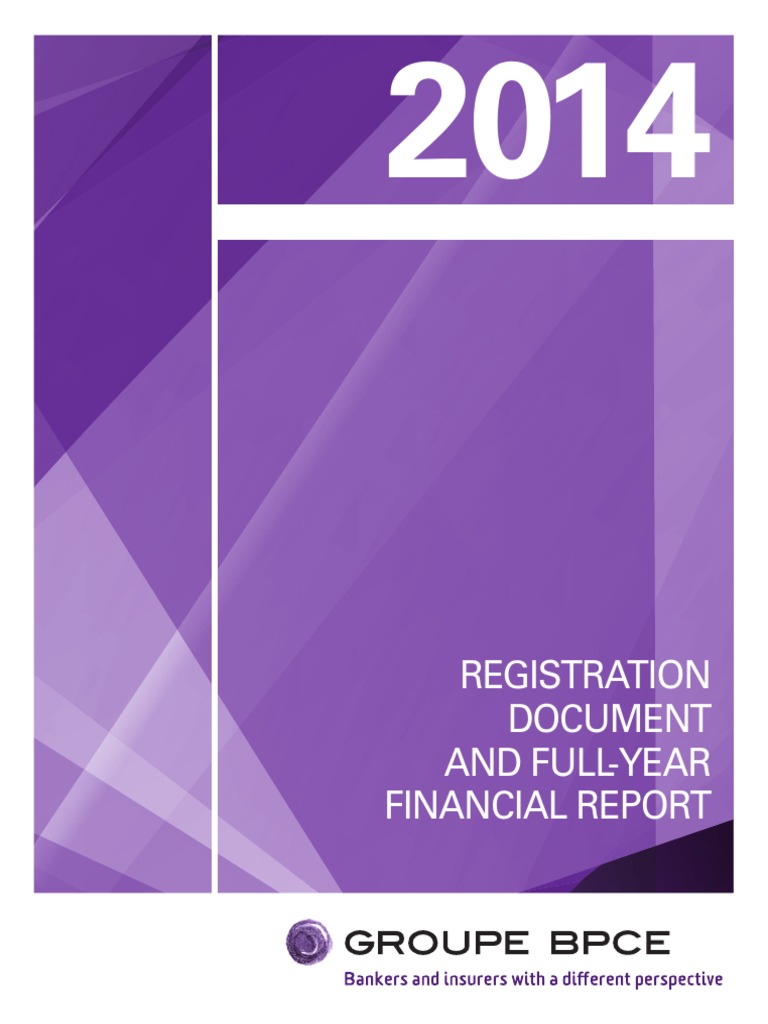 Registration Document and Full-Year Financial Report | PDF | Financial ...