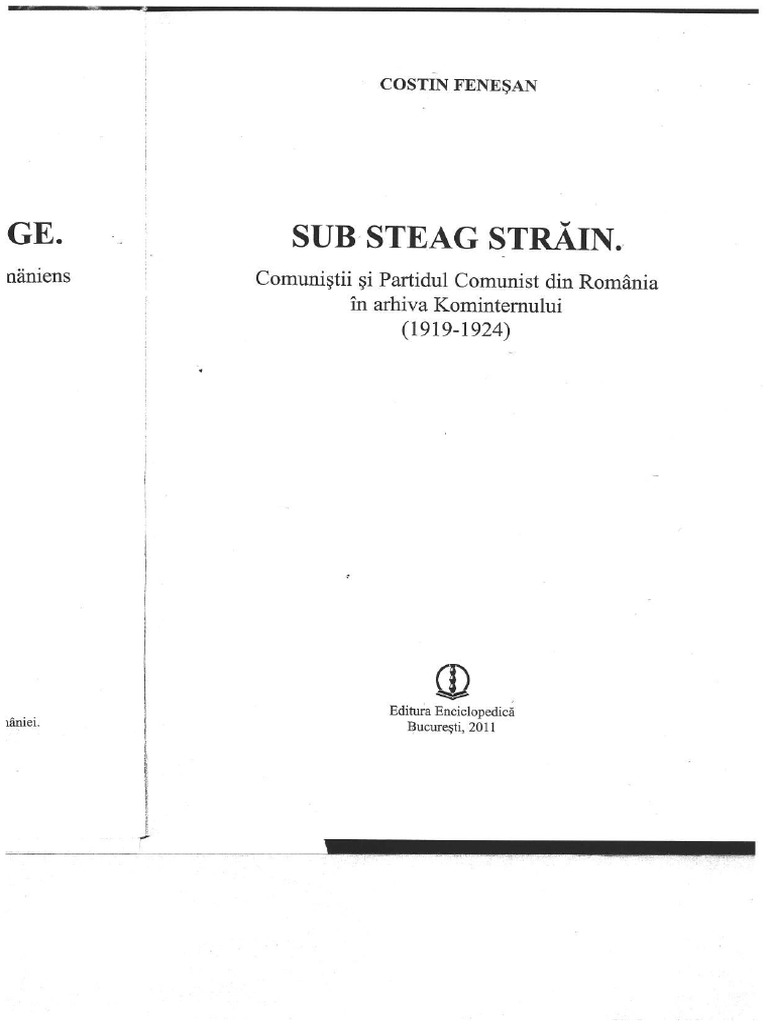 Costin Fenesan - Sub Steag Strain | PDF