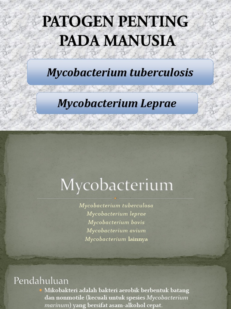 PPT Bakteri Tahan Asam | PDF