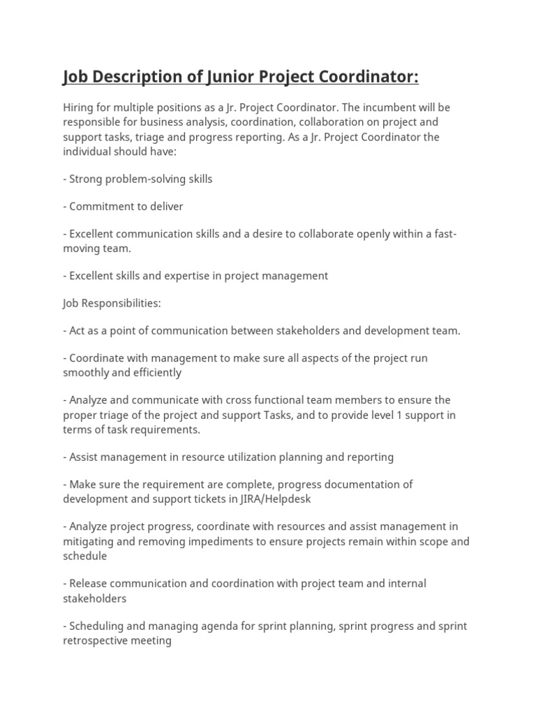 Job description of Junior Project Coordinator | PDF
