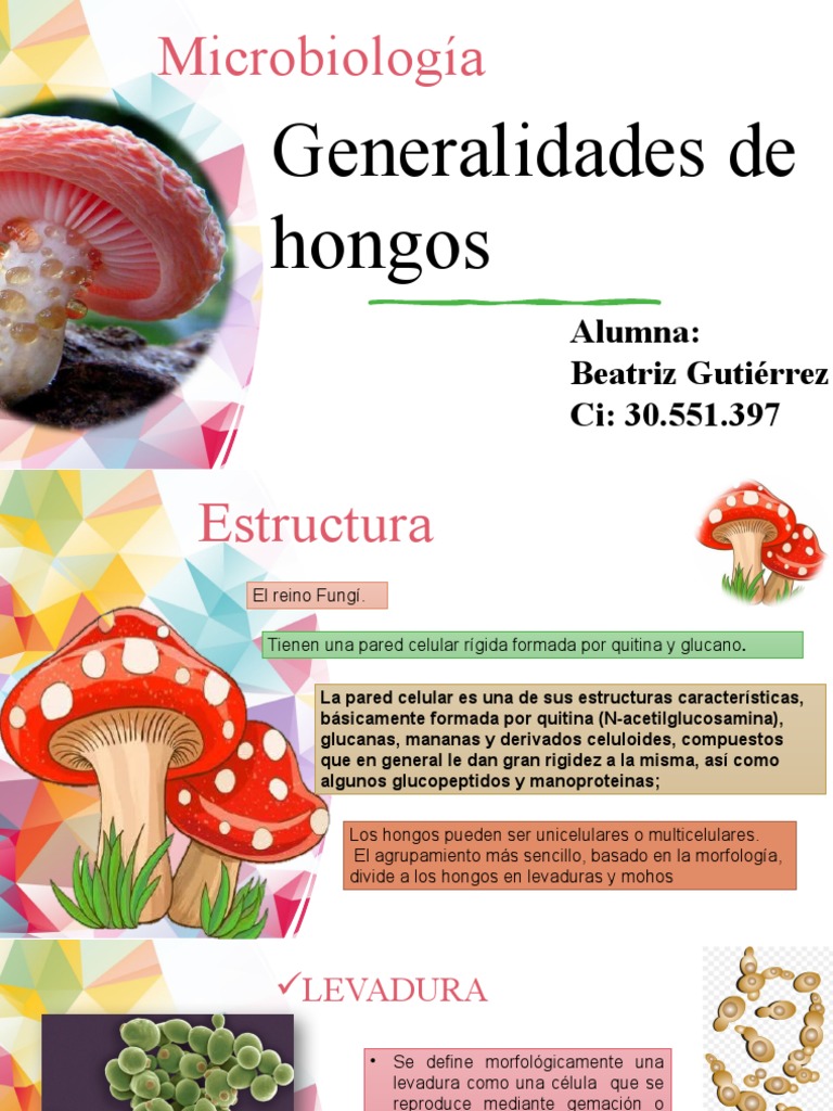 Microbiología Generalidades de Hongos | PDF | Hongo | Biología Celular)
