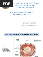 Membranas Fetales y Placenta | PDF | Placenta | Feto