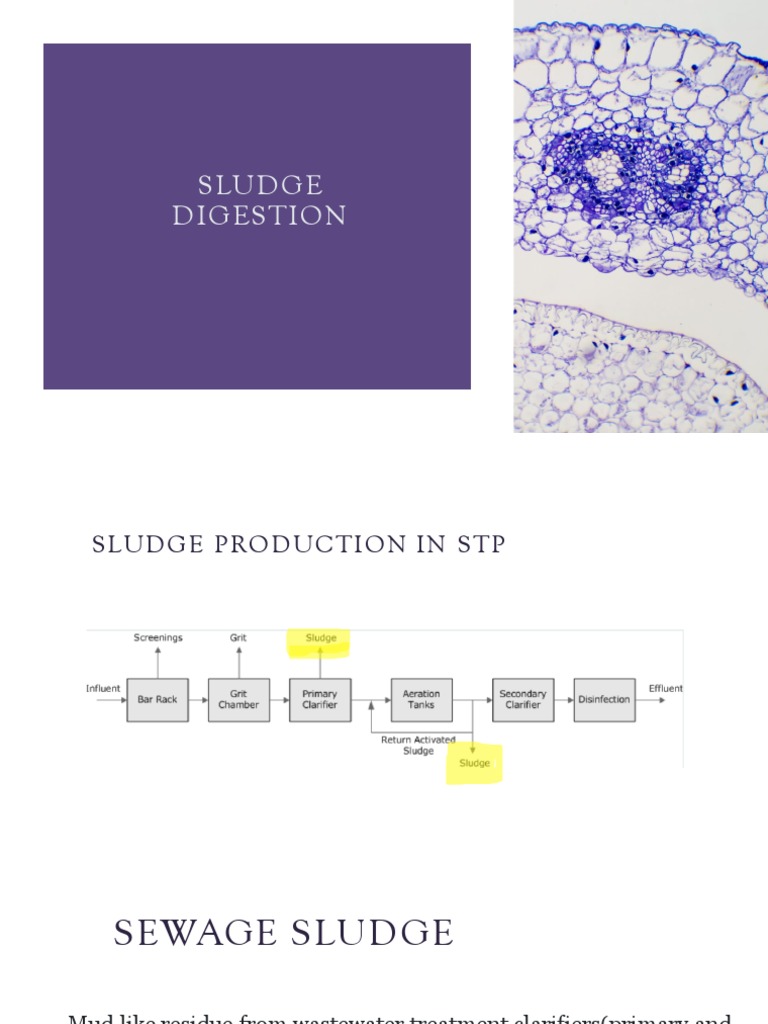 Sludge Digestion | PDF | Anaerobic Digestion | Sewage Treatment
