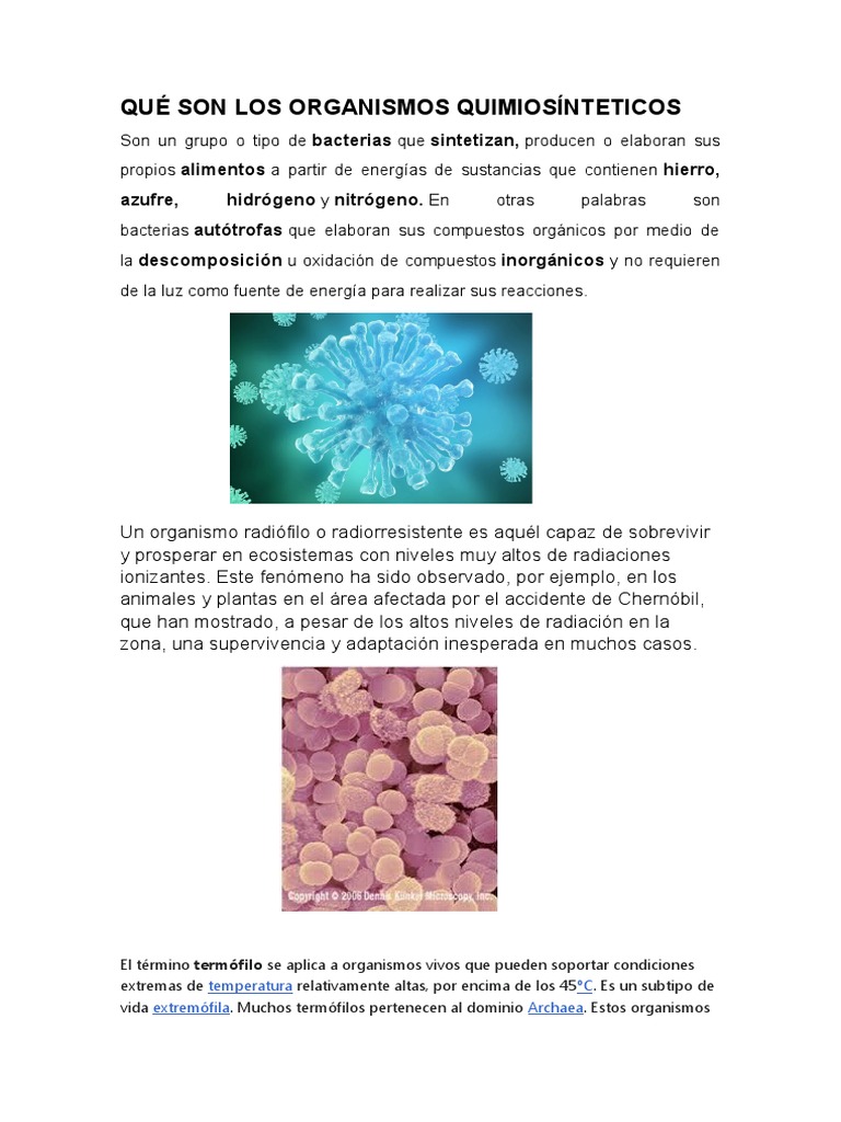Qué Son Los Organismos Quimiosínteticos | PDF